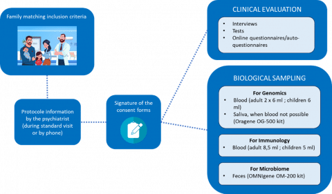 Multiplex (MPX) clinical study